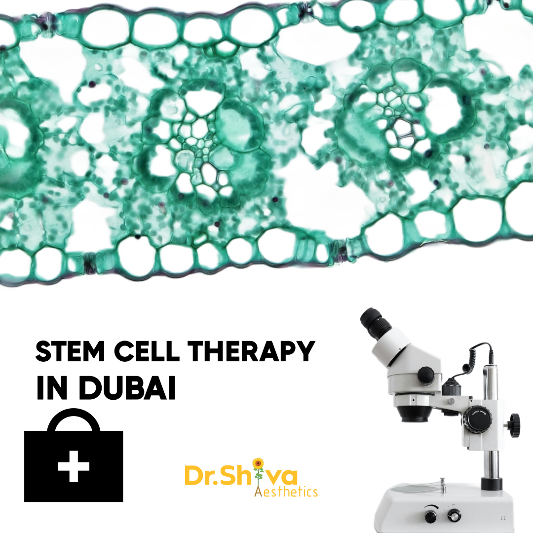Regenerative Stem Cell Treatments in Dubai | Skin, Hair & Anti-Aging ...
